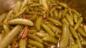 Midget Sweet Pickles: Pure Paradise in a Pickle | findingharmonyblog