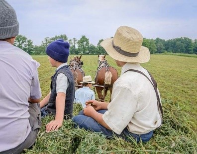 Amish Work Habits Through the Seasons | findingharmonyblog